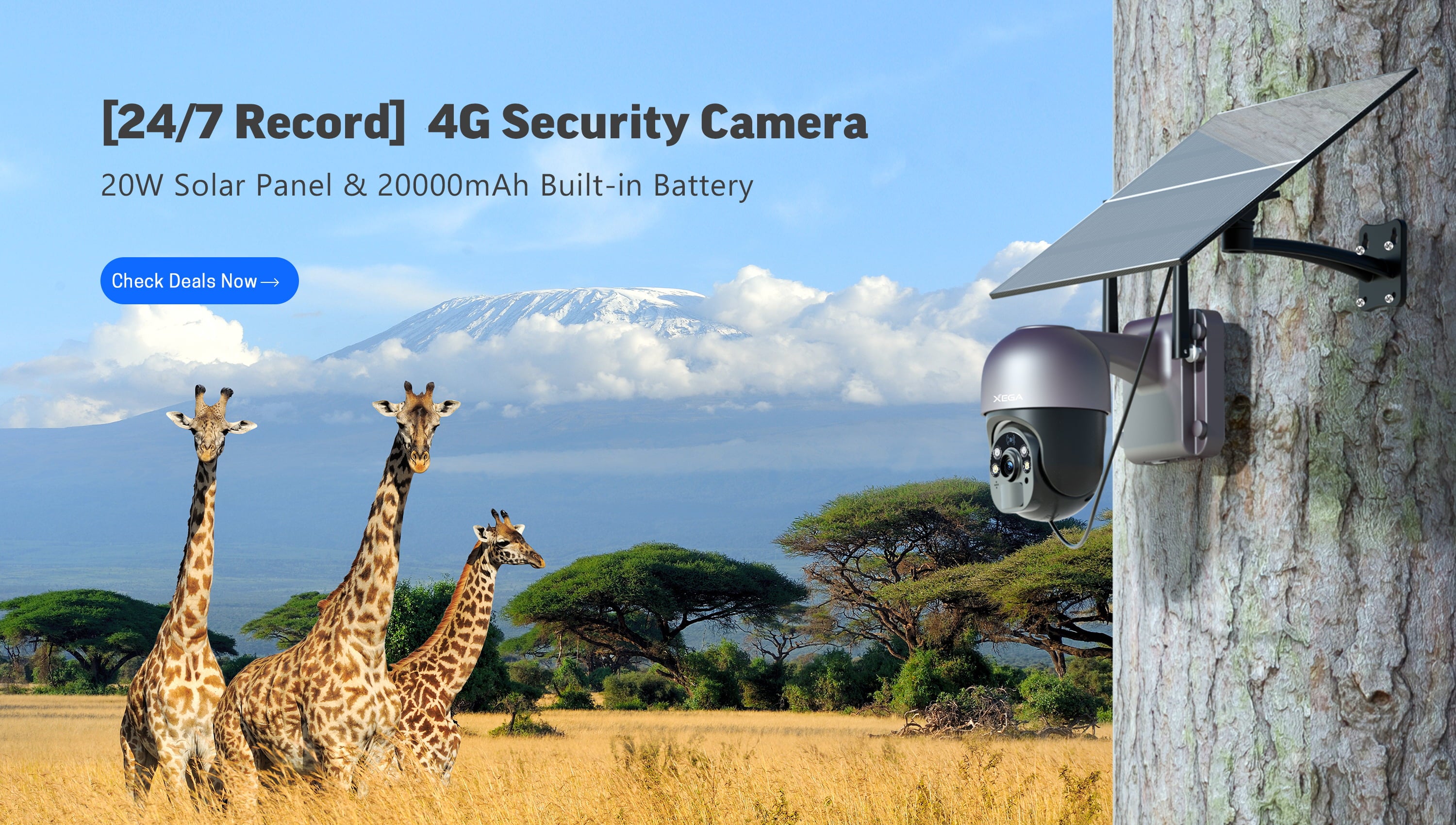 XEGA security cameras | Xega® Official Store